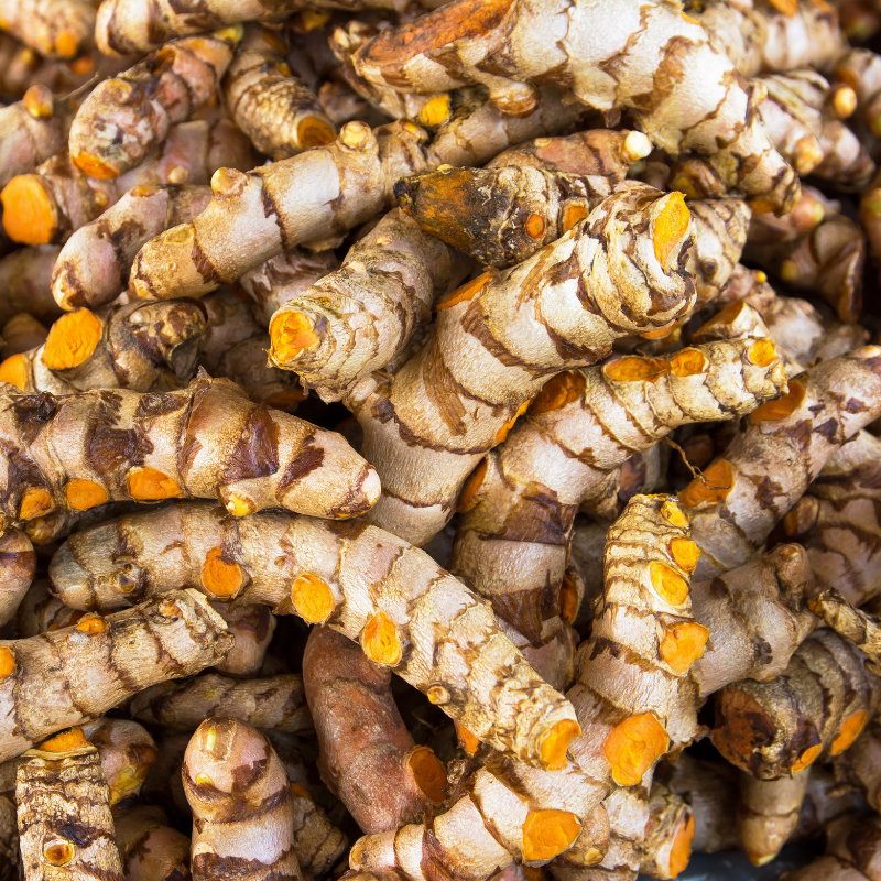 How To Grow Ginger And Turmeric in Canada - From Soil to Soul