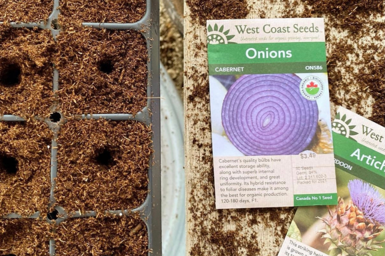 My Master Seed Starting Supplies & Equipment List (10 Must-Have Items ...