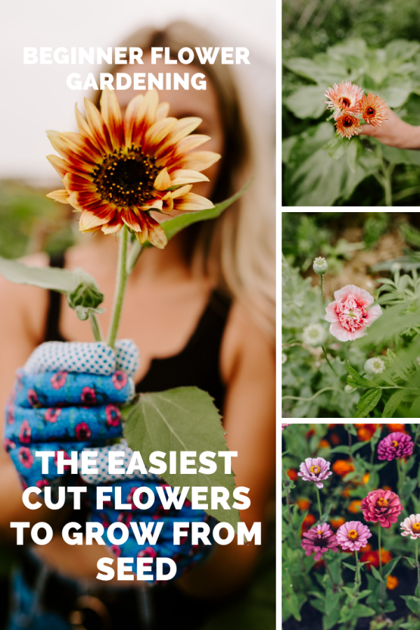 The Ultimate Seed Starting Guide For Canadian Gardeners - From Soil to Soul