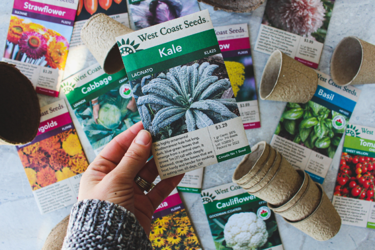 20 Seeds To Start In March In The Canadian Prairies - From Soil to Soul