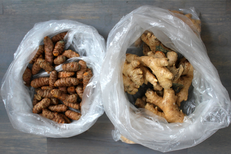 How To Grow Ginger And Turmeric in Canada - From Soil to Soul