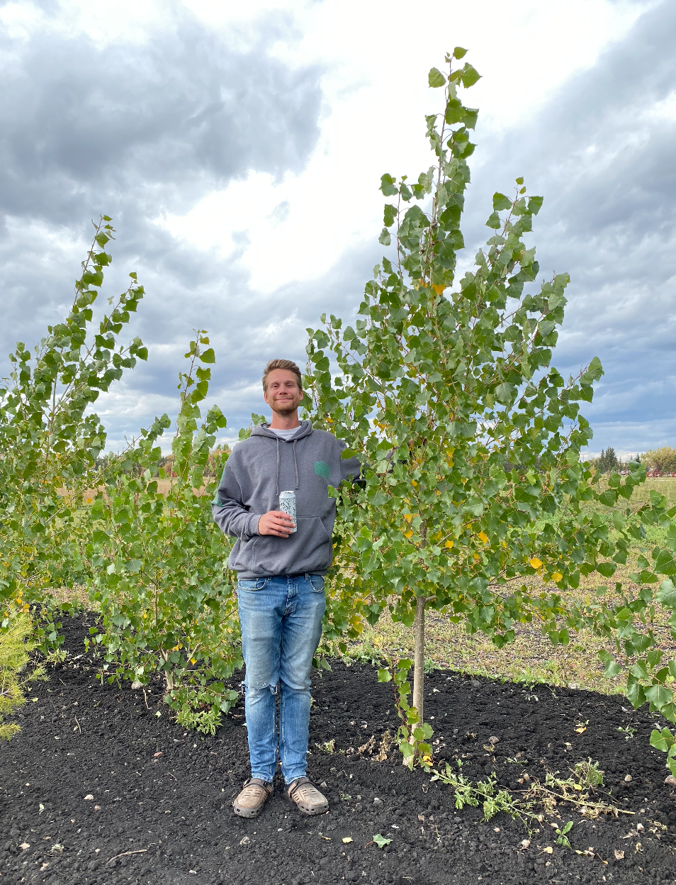 Why Fall is the Best Time to Plant Trees in Canada - From Soil to Soul