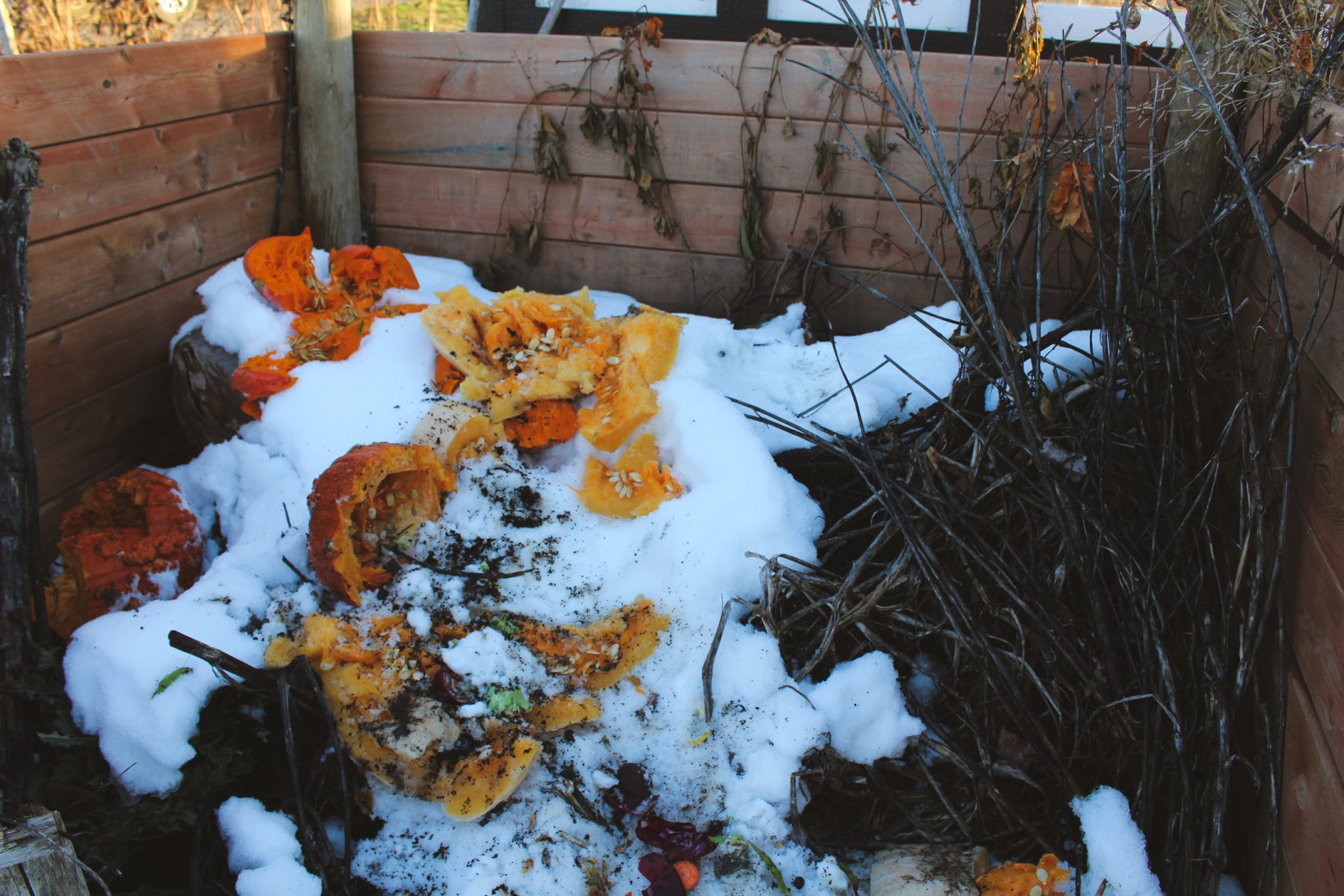 How To Compost In The Winter In Canada - From Soil to Soul