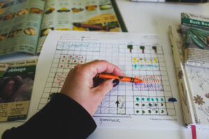 Garden Planning 101: How To Draw A Garden Map You'll Actually Stick To ...