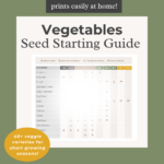 10 Of The Easiest Vegetables To Grow From Seed For Beginners - From ...